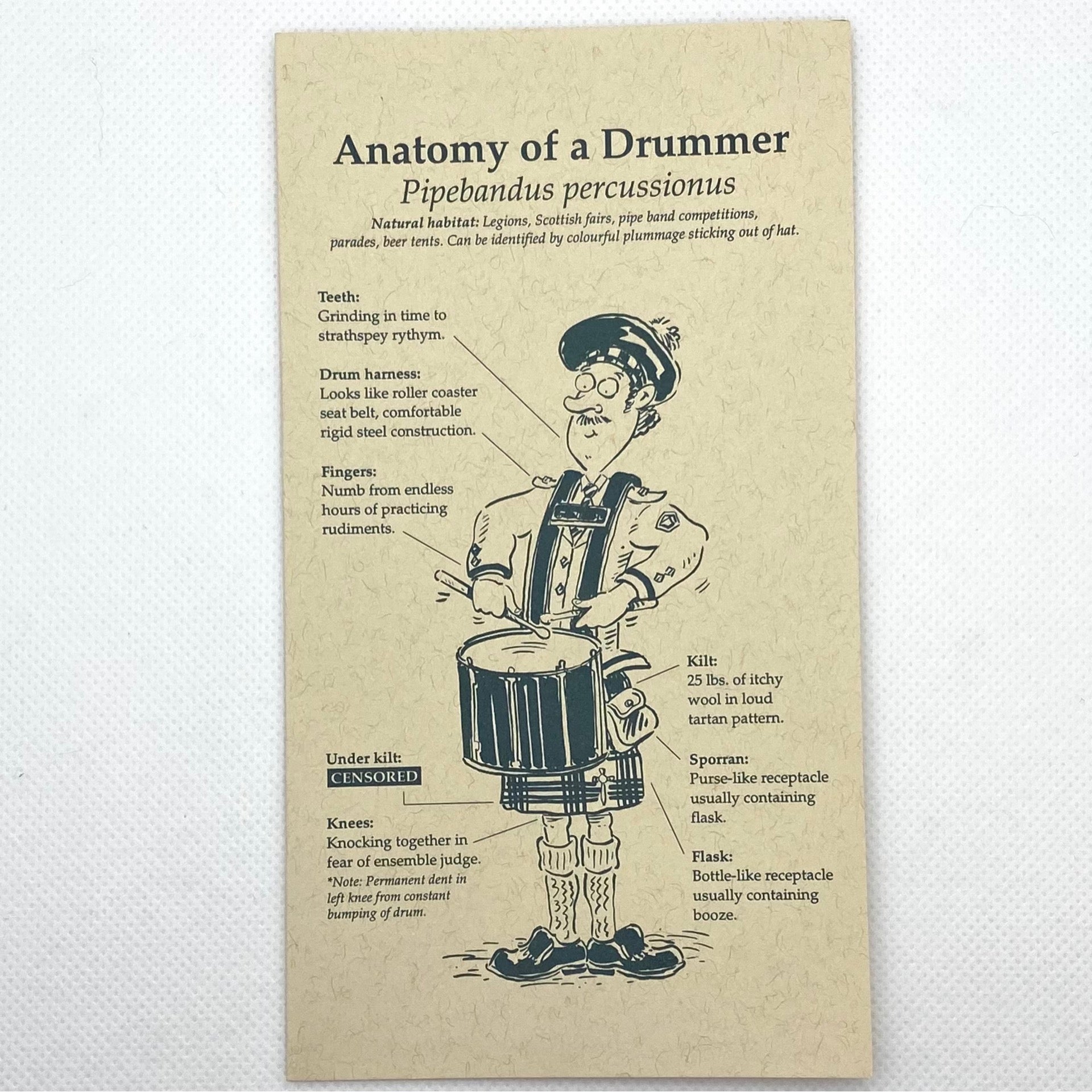 Anatomy of a Drummer - Notecards | A Hint of Heather